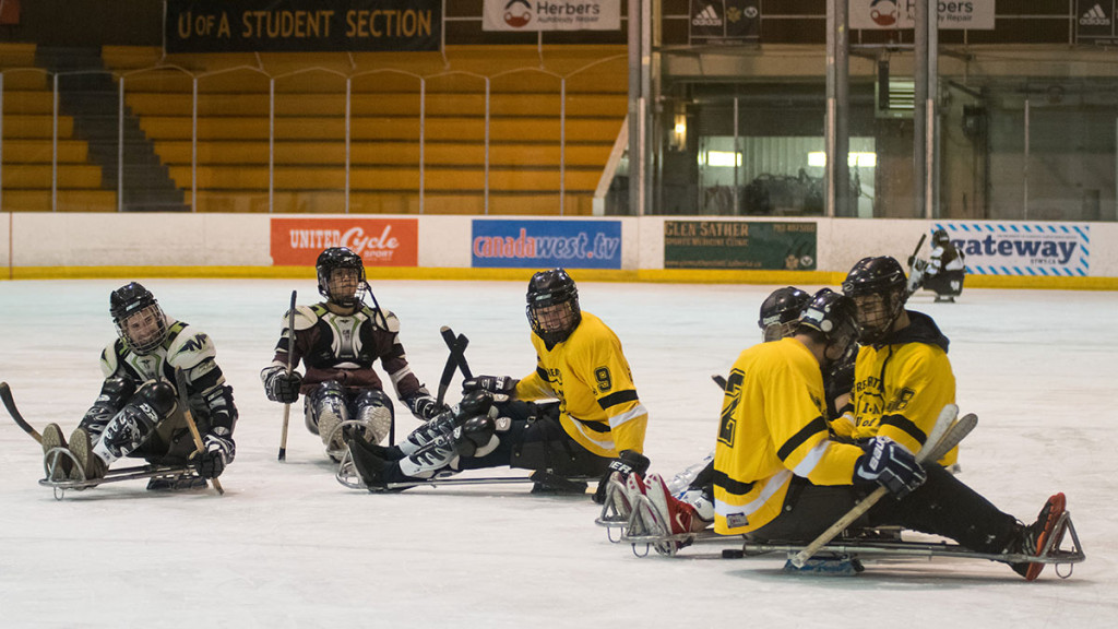 Coaches offer sledge hockey clinic to U of A - The Gateway