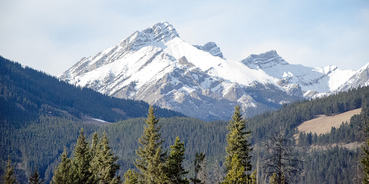 Profit or preservation? Alberta’s Crown land at a crossroads - The Gateway