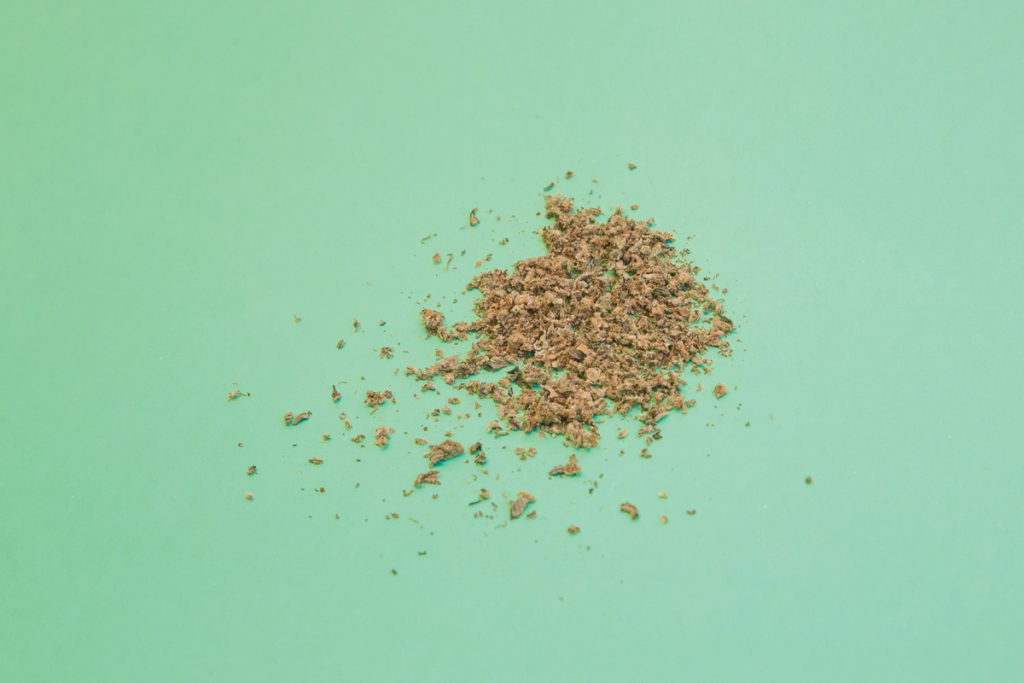 Your doctor’s right: you’re too young to smoke weed - The Gateway