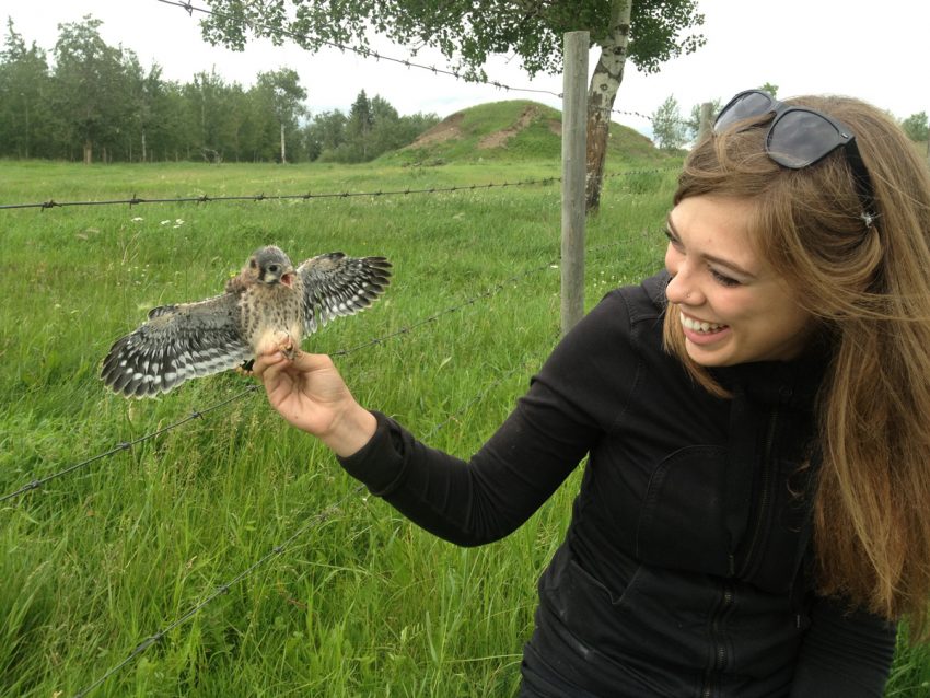 U of A graduate receives scholarship to study conservation in Mauritius ...