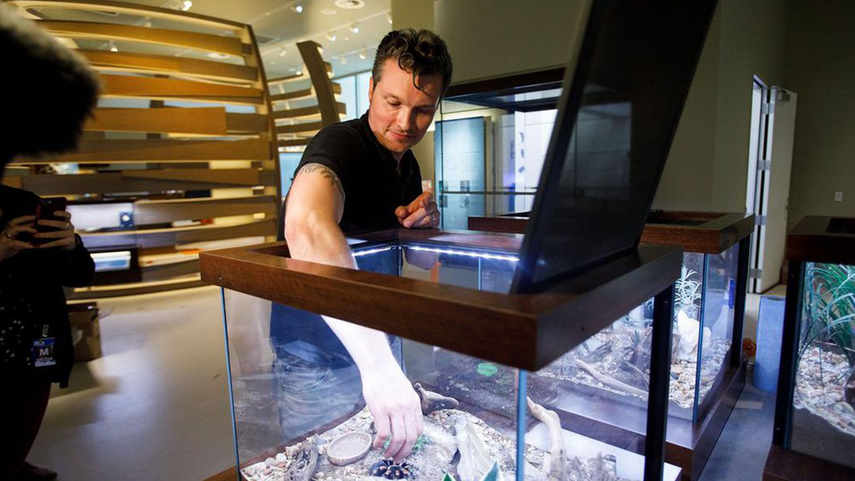 Checking out bugs with Peter Heule: Q&A with the Royal Alberta Museum's ...