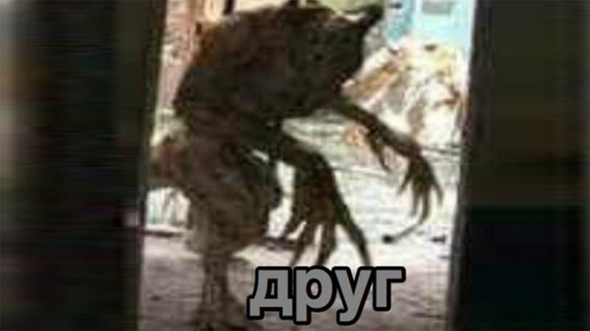 Top 10: Memes of 2018, Honorable Mention #1: Дpyr - The Gateway