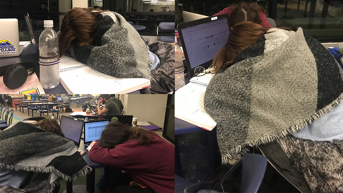 U of A survey finds poor quality of sleep among Albertans - The Gateway