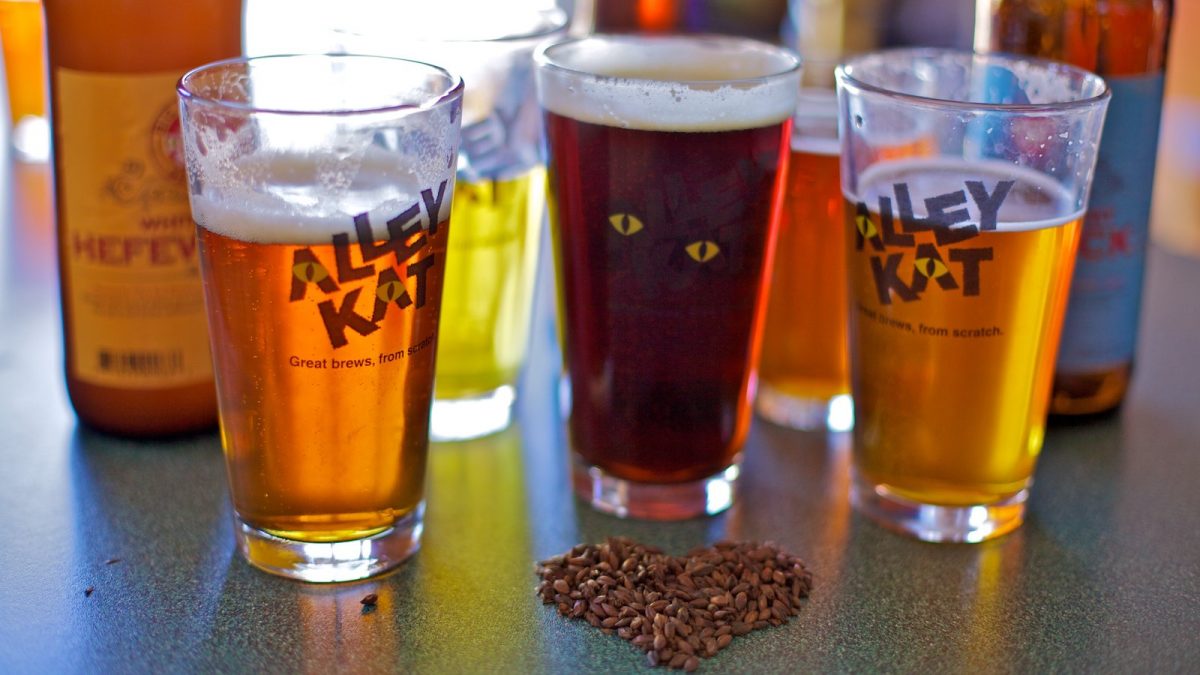 Brew Crew: Alley Kat Fish Bone New England IPA - The Gateway