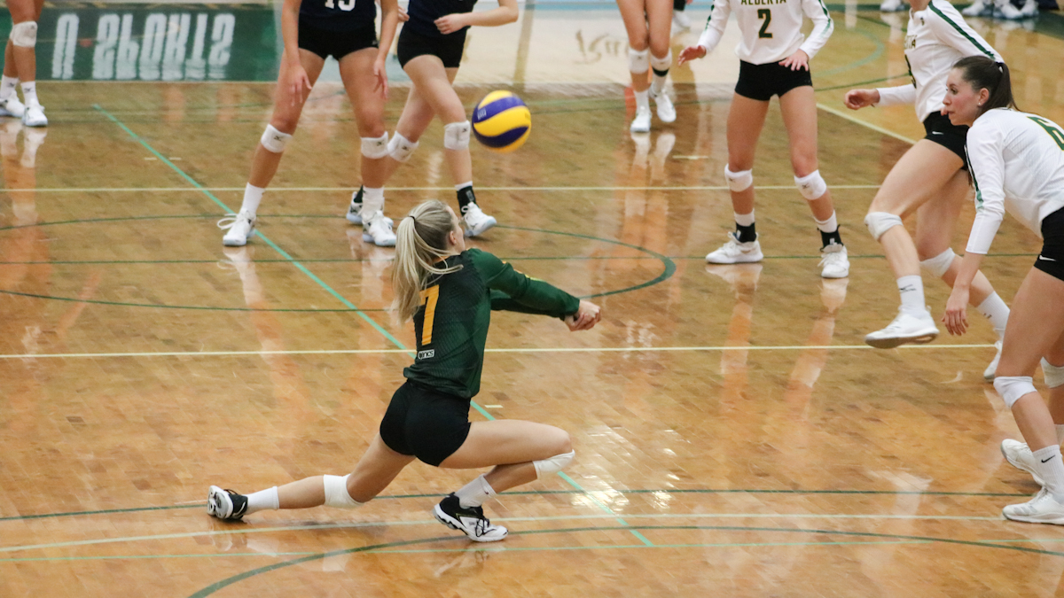 New Year weekend Golden Bears and Pandas Preview - The Gateway