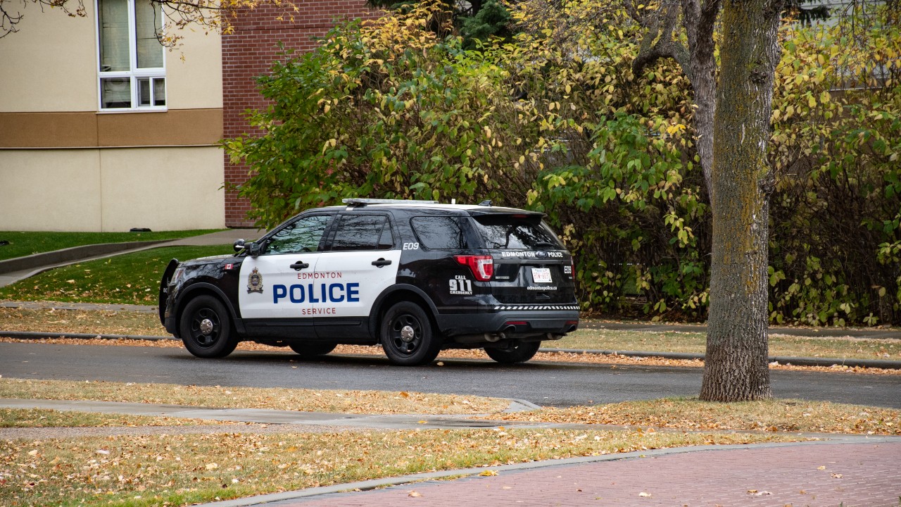 Public questions Edmonton Police Commission on encampment removal - The ...