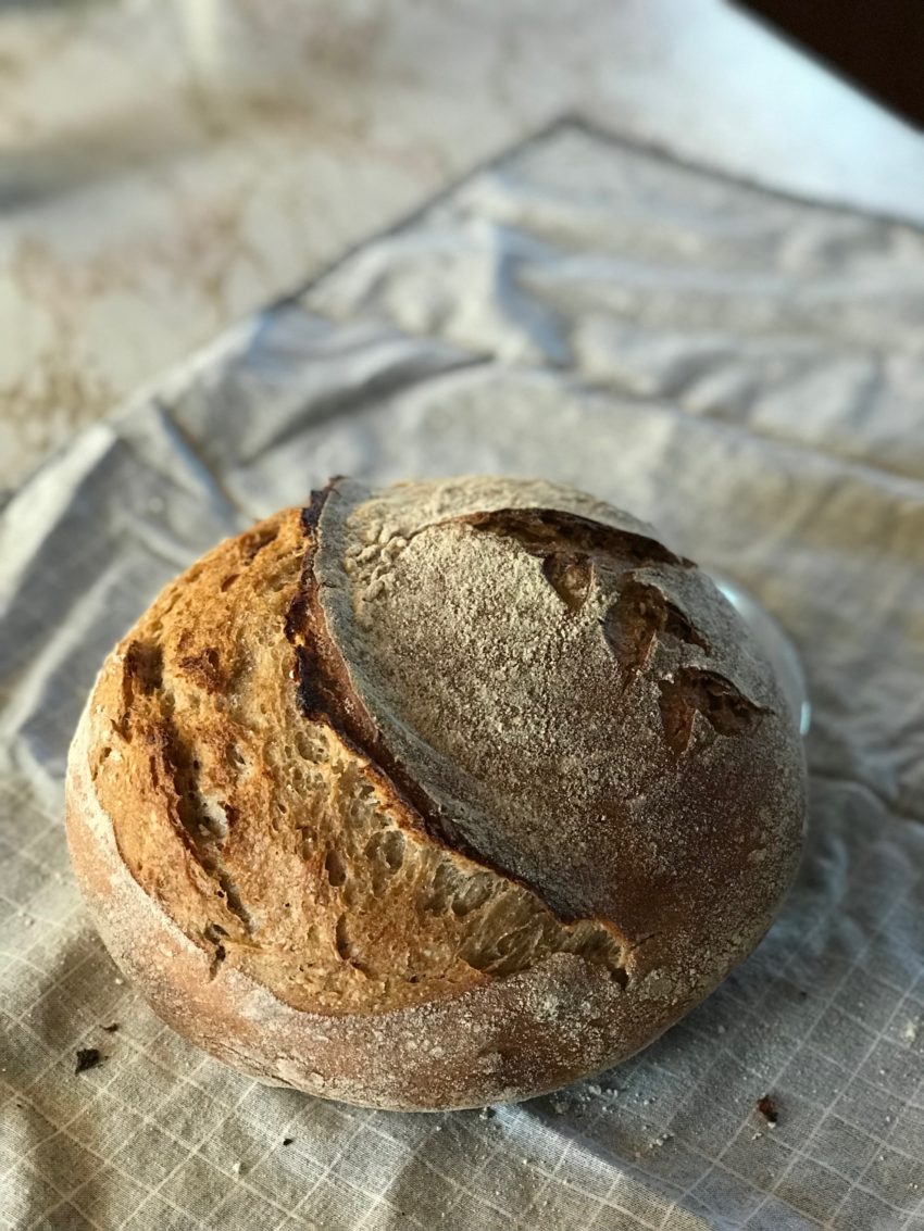 PhD candidate discovers what sourdough can teach us about living in ...