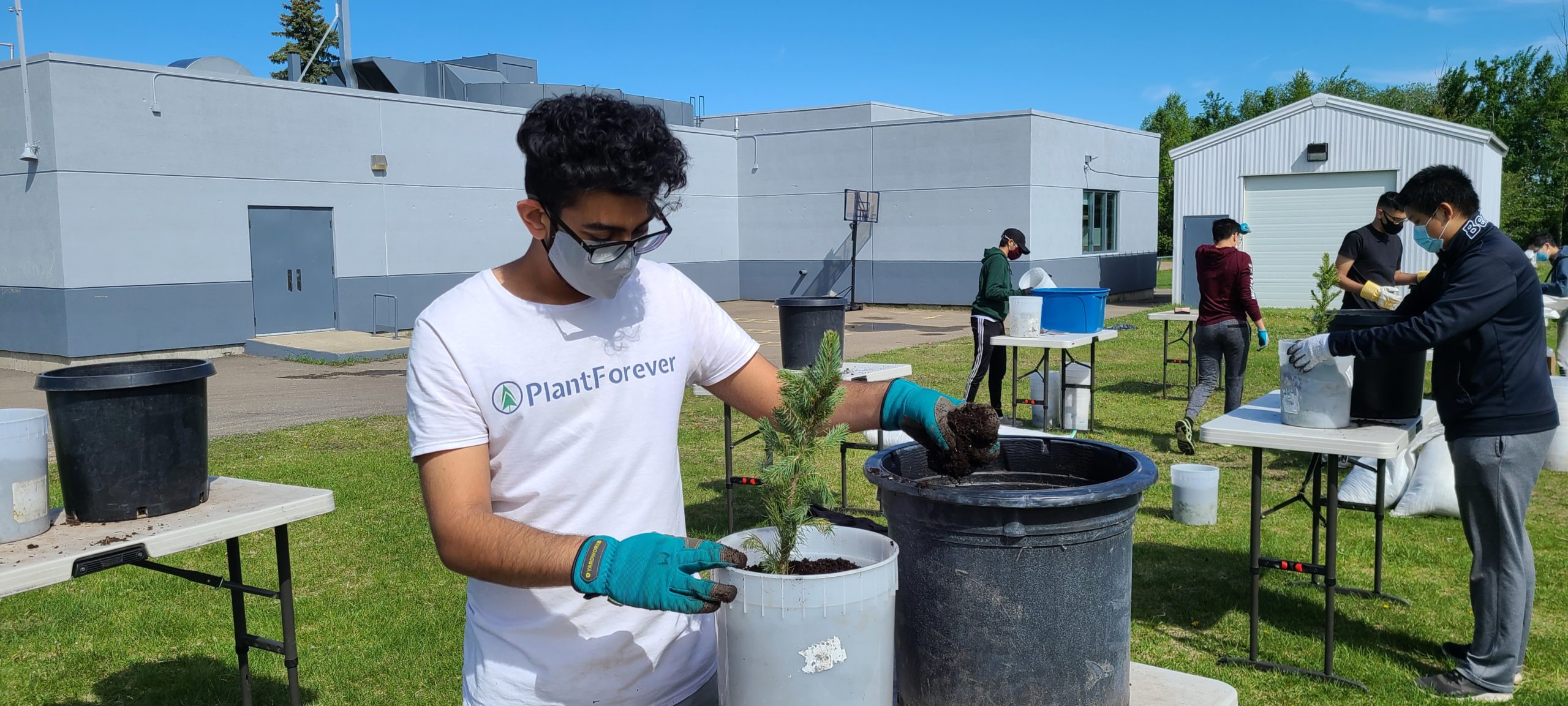 PlantForever develops urban forests in Edmonton, one tree at a time ...
