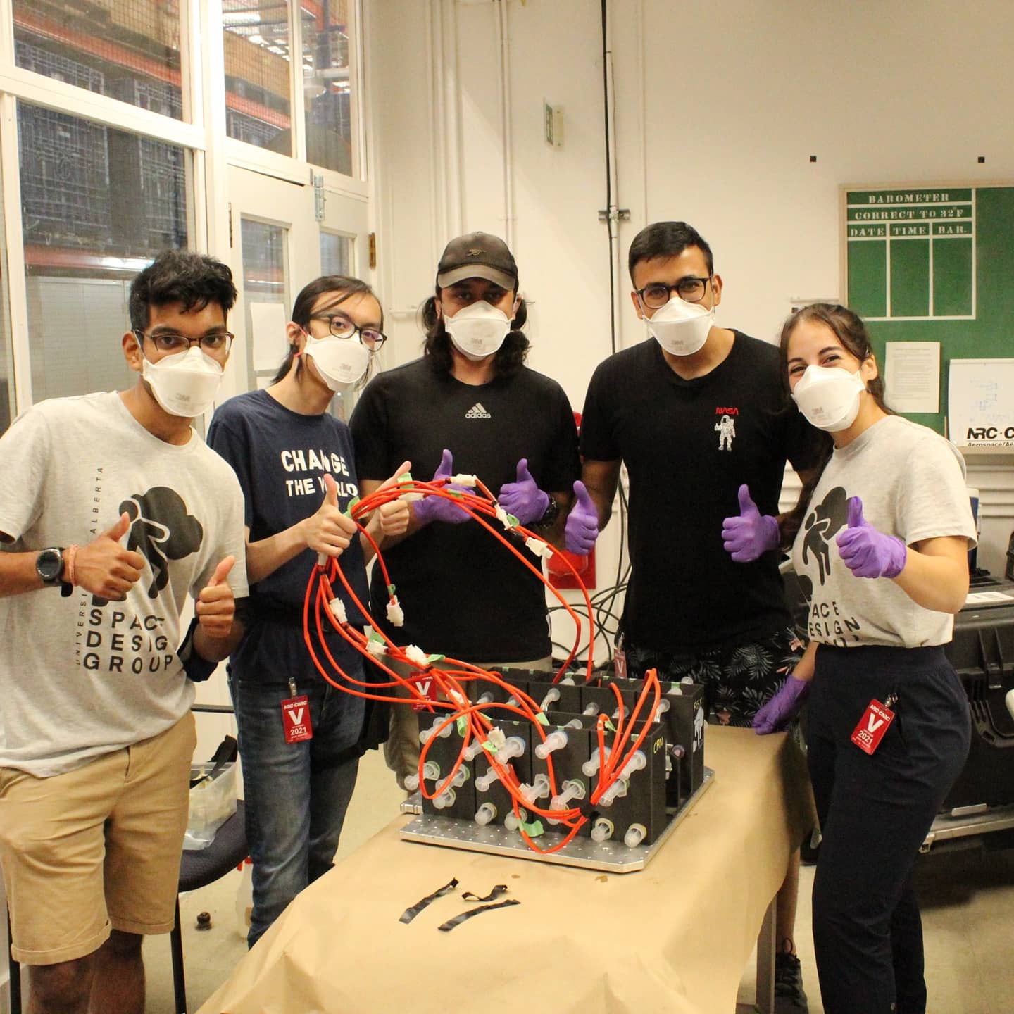 U of A medical and engineering students test bioengineered cartilage in ...