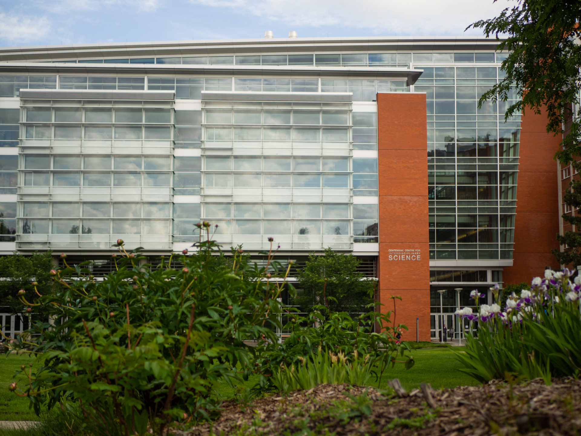 U of A study shows sunscreen is less harmful to freshwater life over ...