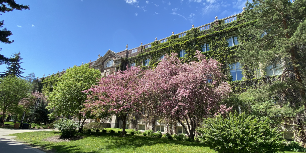 Dr. Verna Yiu hired as new interim provost and vice-president (academic ...