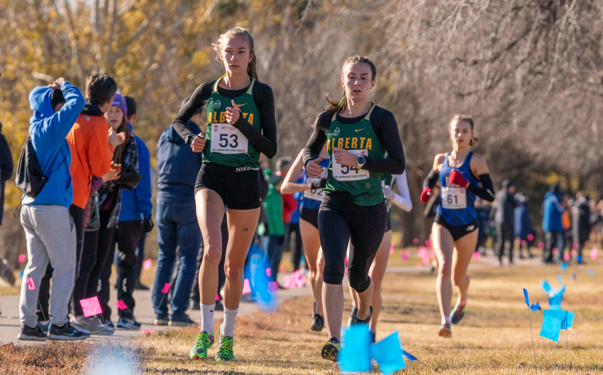 Cross Country 2021 - 22 Season Recap - The Gateway