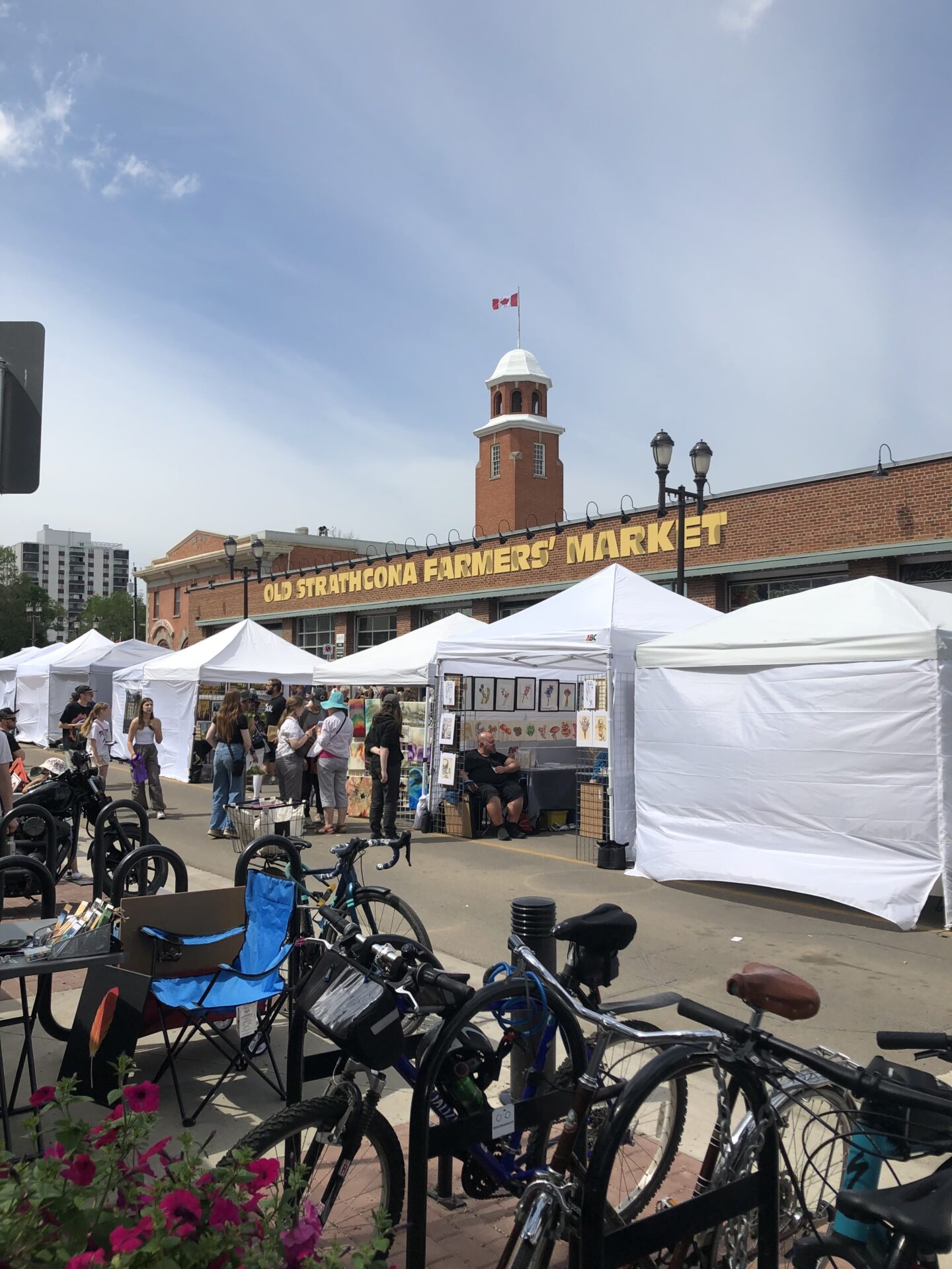 Whyte Avenue Art Walk 2024: A success for artists and Edmontonians ...