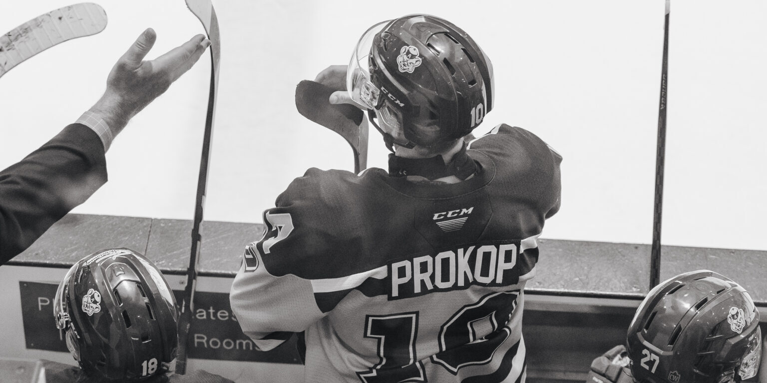 A close hockey game reminds the Bears not to get too comfortable - The ...