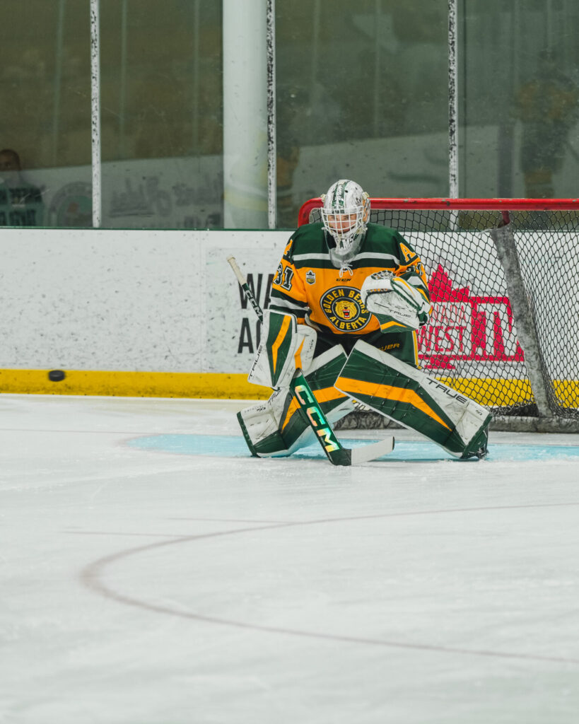 Tyler Palmer gives the Bears four years of goal-tending talent - The ...