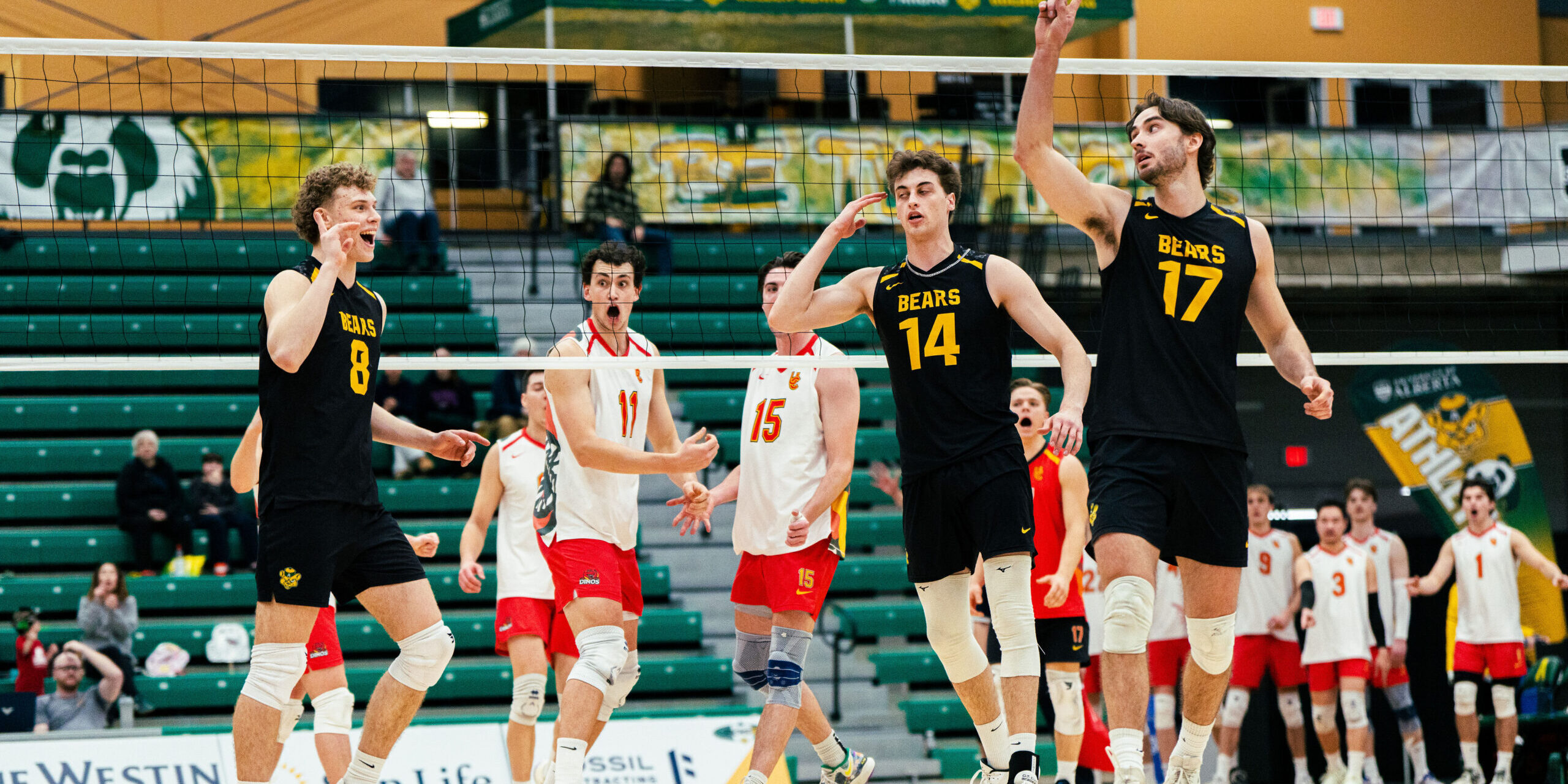 Golden Bears sideline Jacob Sargent and Matt Shand in round one, but ...