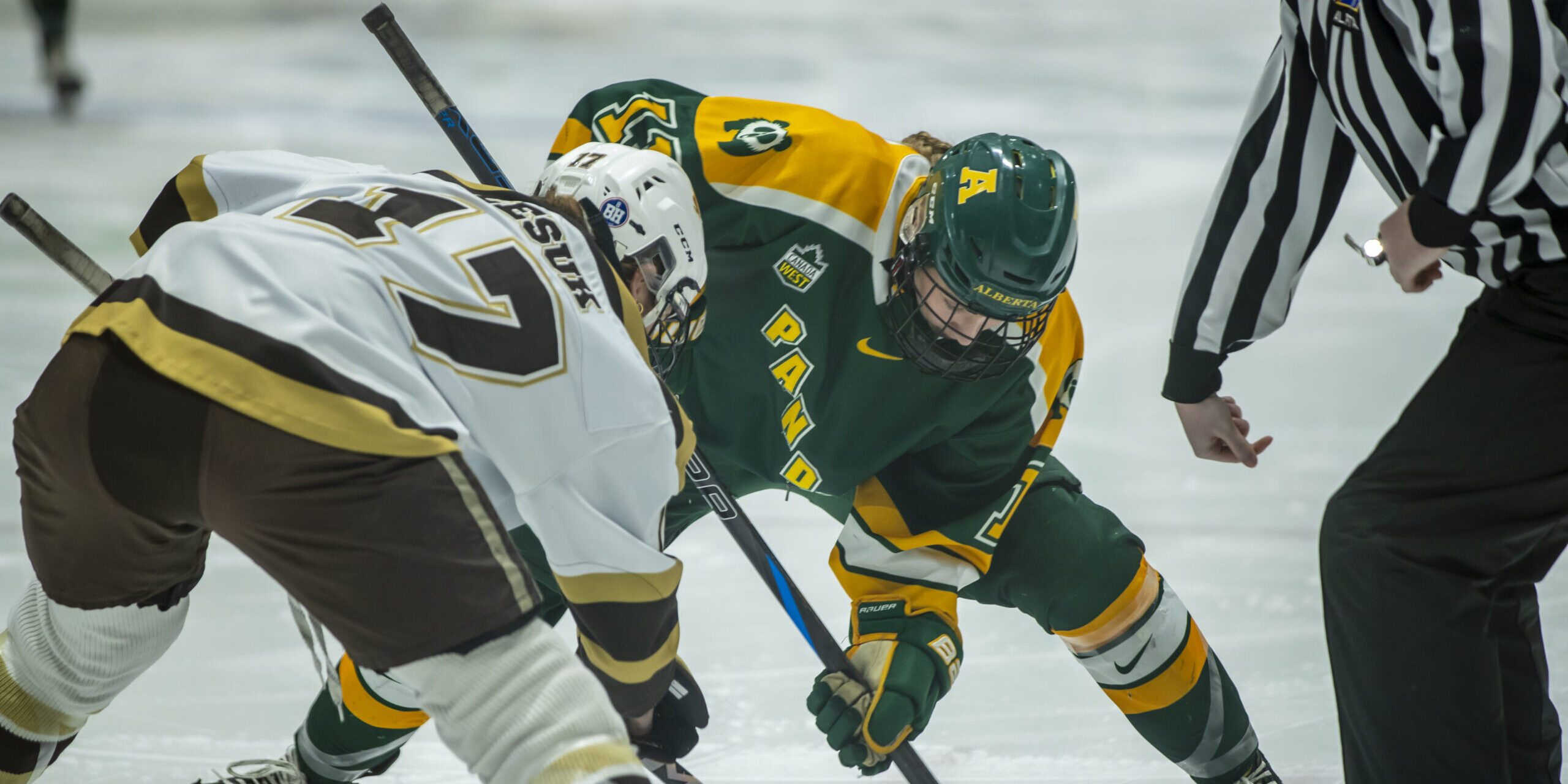 Pandas hockey sleeps for two periods, takes late win over Bisons - The ...