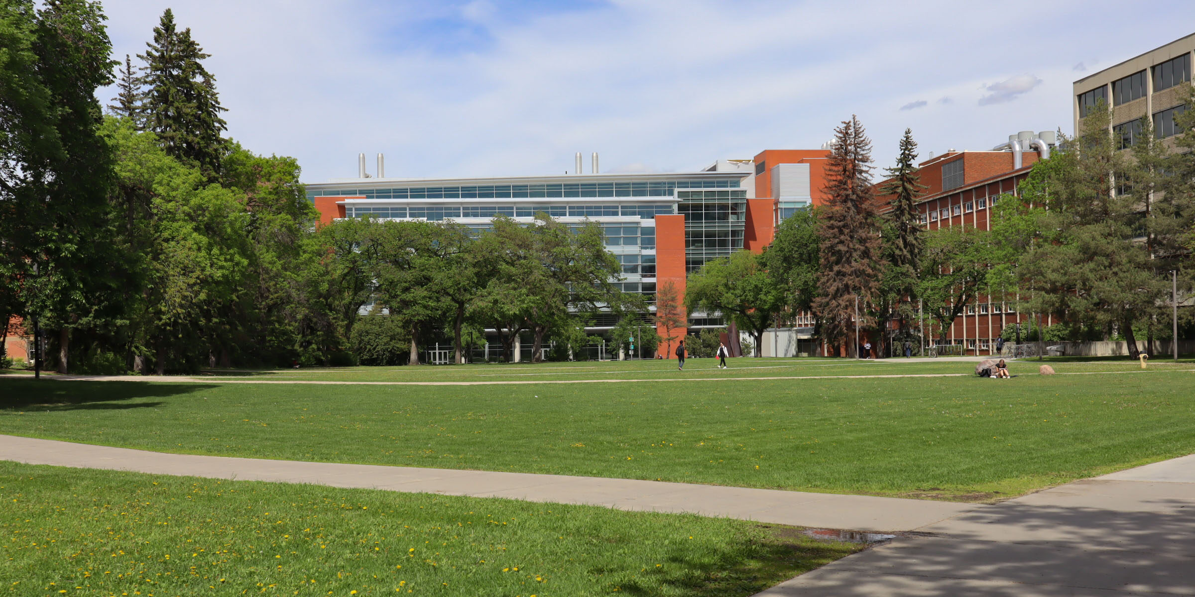 U of A researchers identify DNA structures that can improve cancer ...