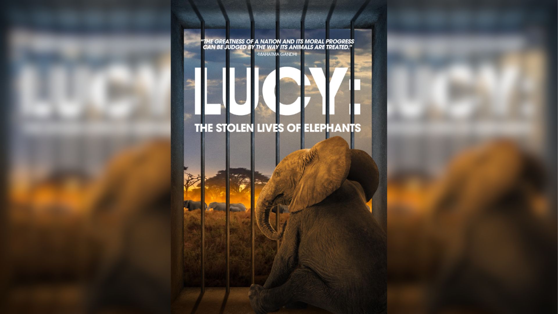 'Lucy': Interview with LEAP founder, Mary-Ann Holm - The Gateway