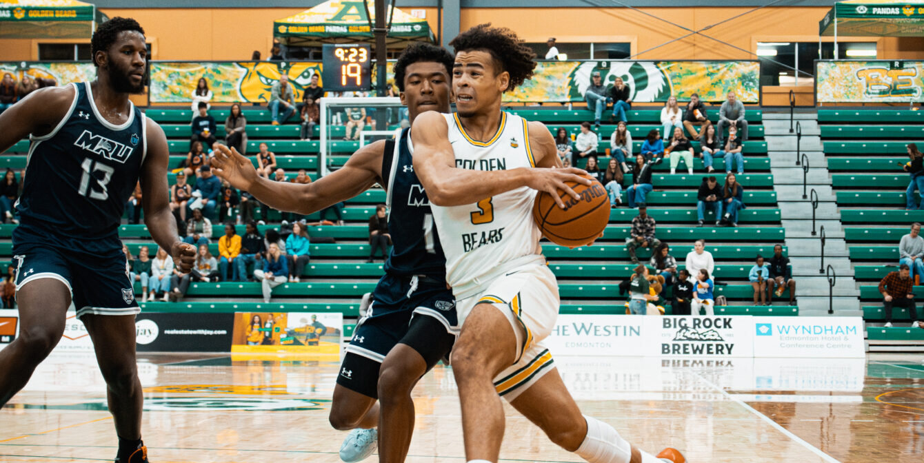 Golden Bears Basketball find home-opener win under new head coach - The ...