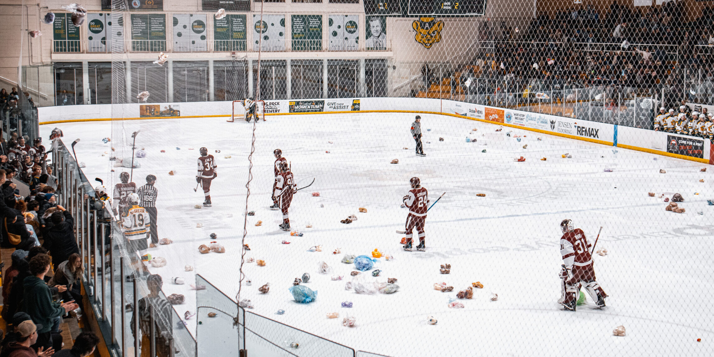 Teddy Bears fly during much-needed wins at Clare Drake Arena - The Gateway